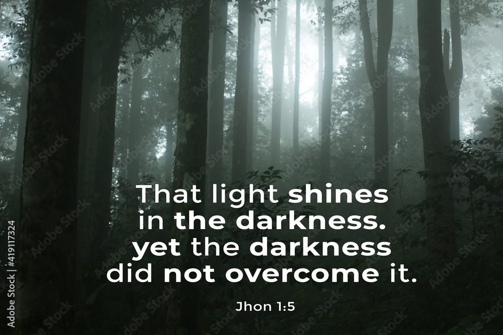 Bible inspirational words - That light shines in the darkness, yet the ...