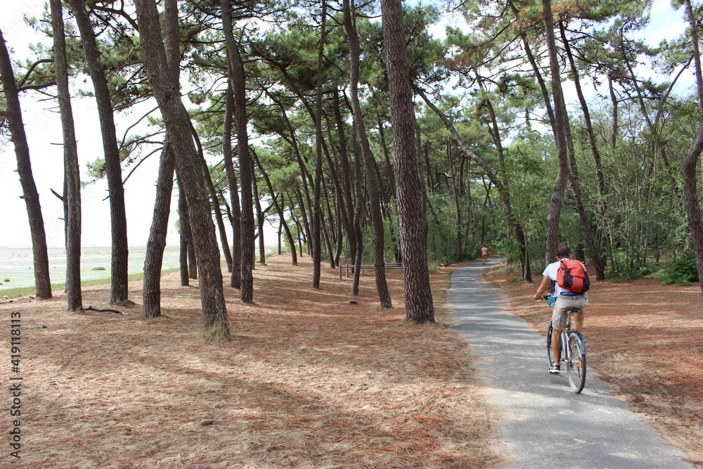 Homme en vélo sur une piste cyclable (Vélodyssée), forêt de la Palmyre ...