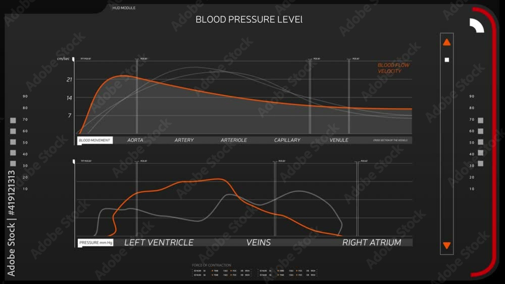 A high-tech screen displays graphs of analysis of the human circulatory ...
