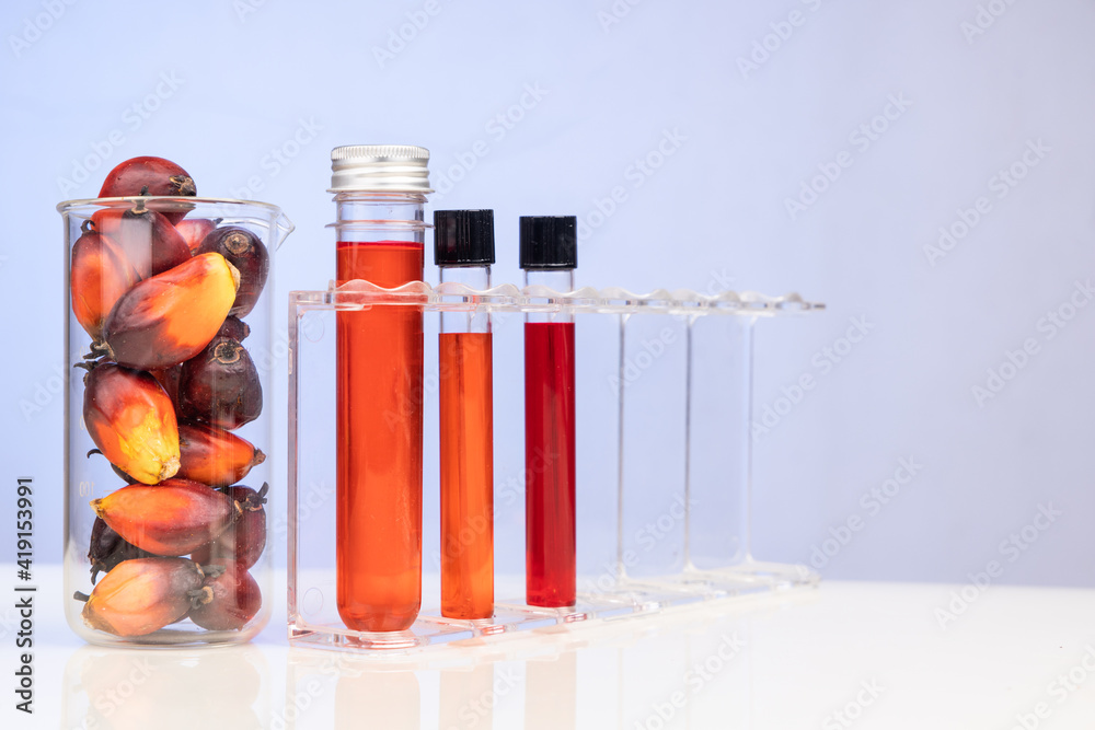 Red color unrefined palm oil and fruits with beaker test tube in ...