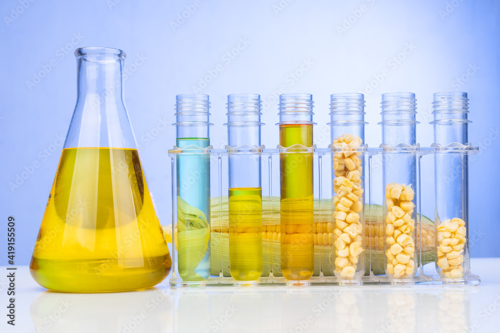 Ethanol biofuel derived from corn maze with beaker test tubes and corn ...