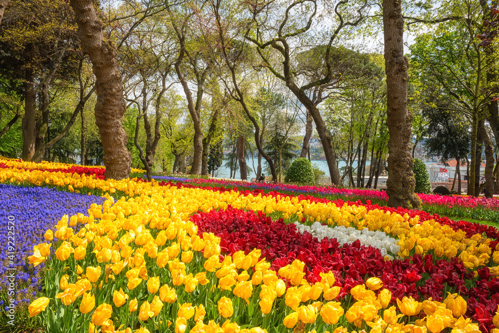 Amazing flowering garden, famous turkish park Emirgan Korusu in ...