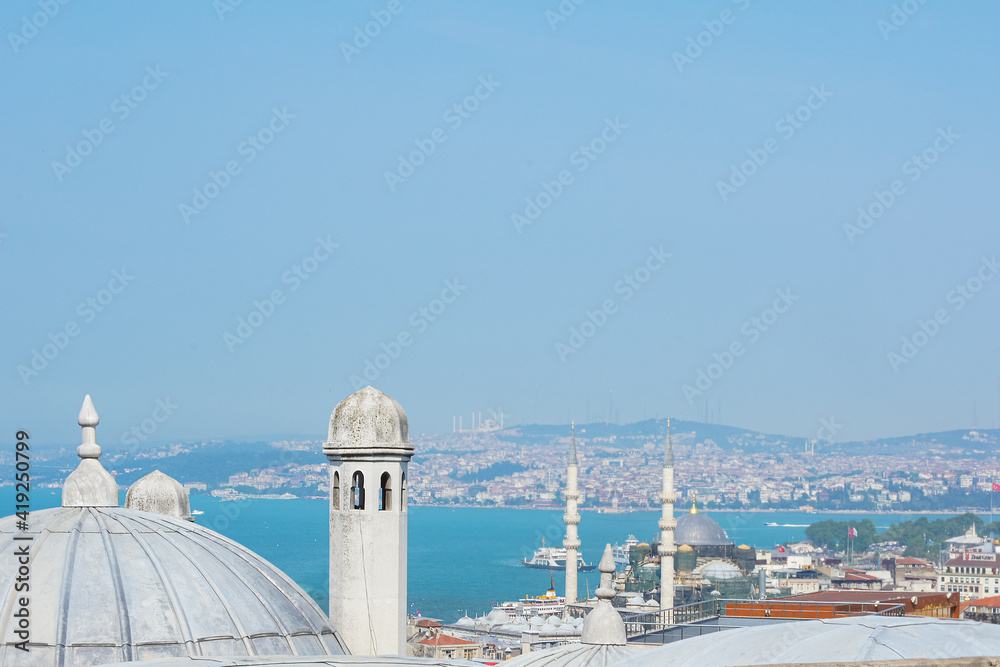 Istanbul landscape with the domes of Suleymaniye Mosque and the ...