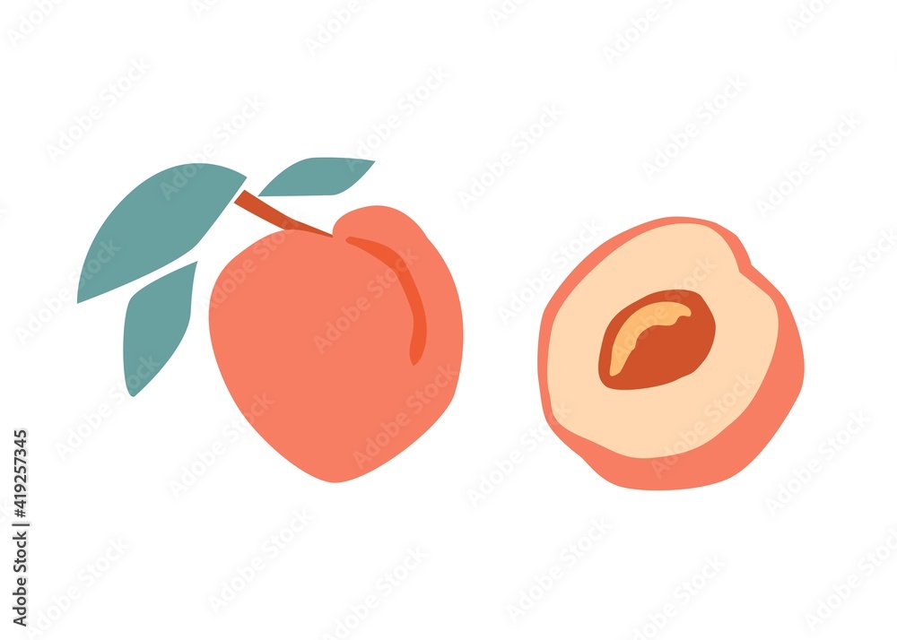 Set of fresh fruit pink peach with green leaf, flower, slice in hand ...