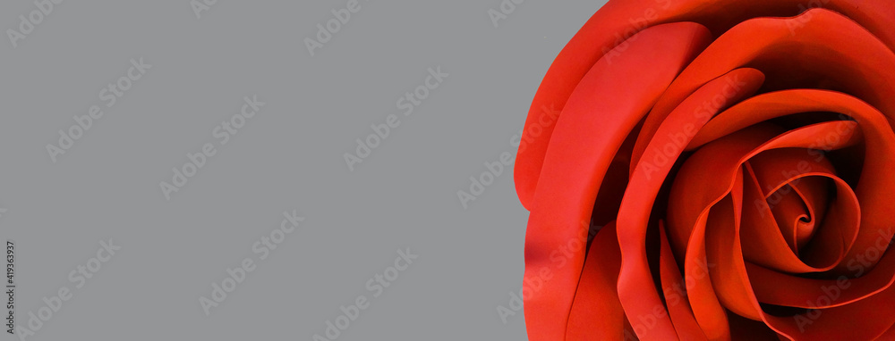 Red Rose Gray Background
