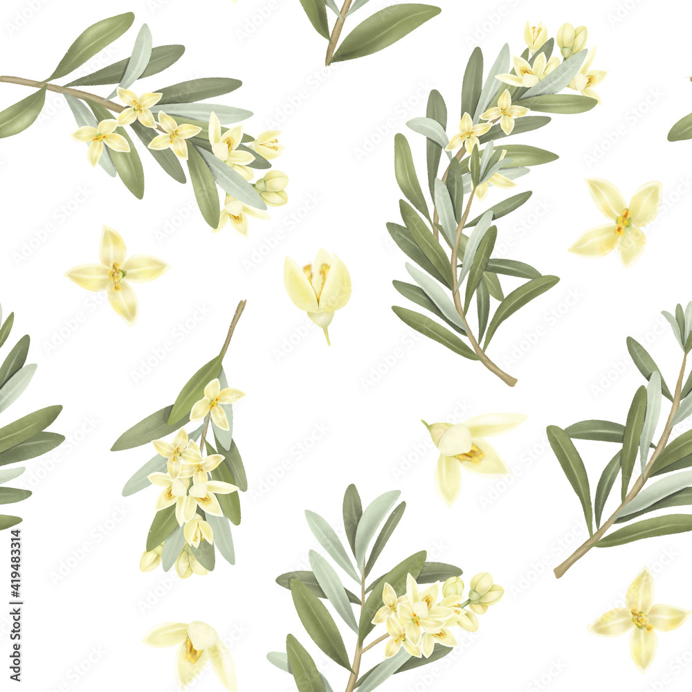 Seamless pattern of blooming olive tree branches and olive flowers ...