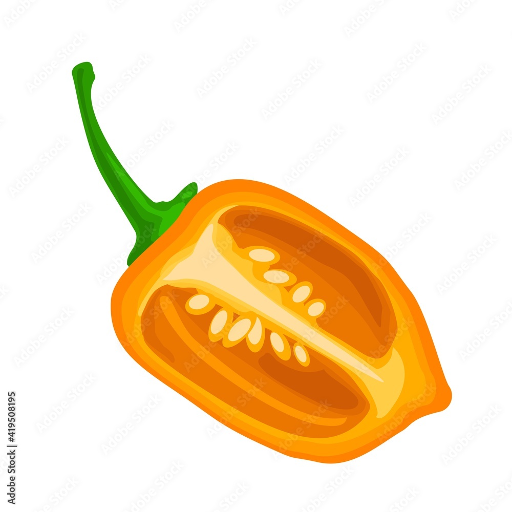 Half pepper habanero. Vector color illustration isolated on white ...