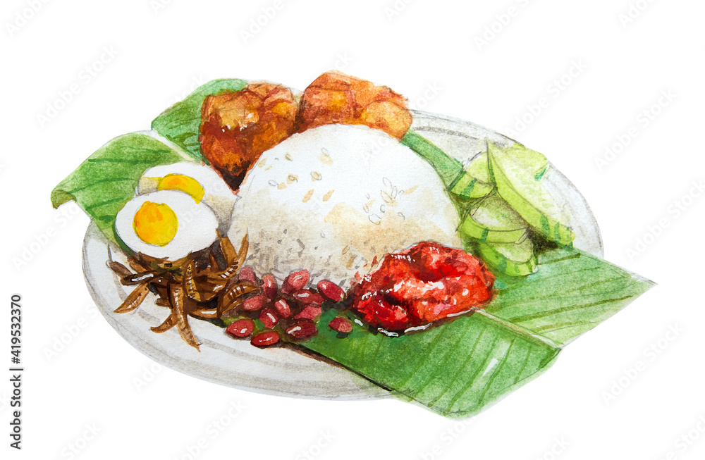 Malaysian nasi lemak isolated in white with watercolor style Stock ...