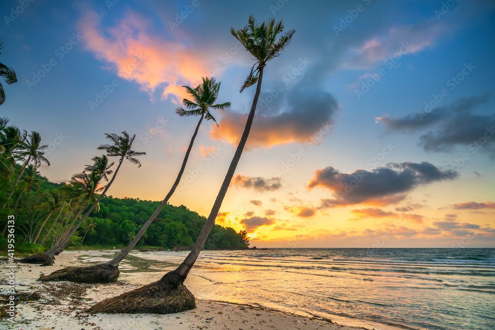 Dawn on a deserted beach with beautiful leaning coconut trees facing ...