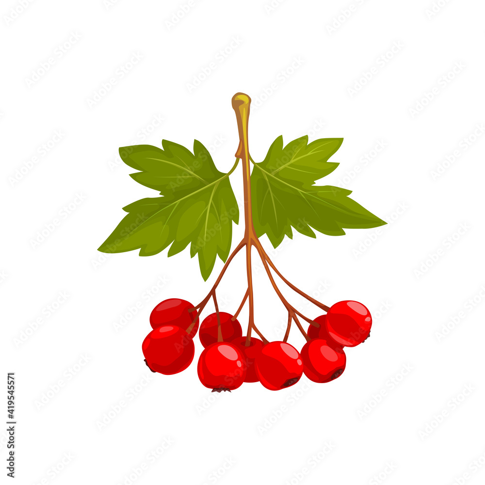 Wild Berries Clip Art