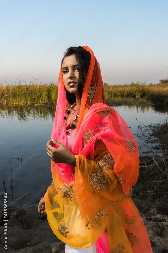 Portrait of beautiful Indian girl wearing Indian traditional dress ...