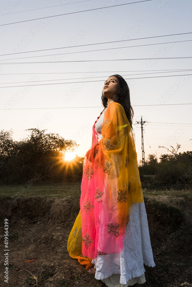 Portrait of beautiful Indian girl wearing Indian traditional dress ...