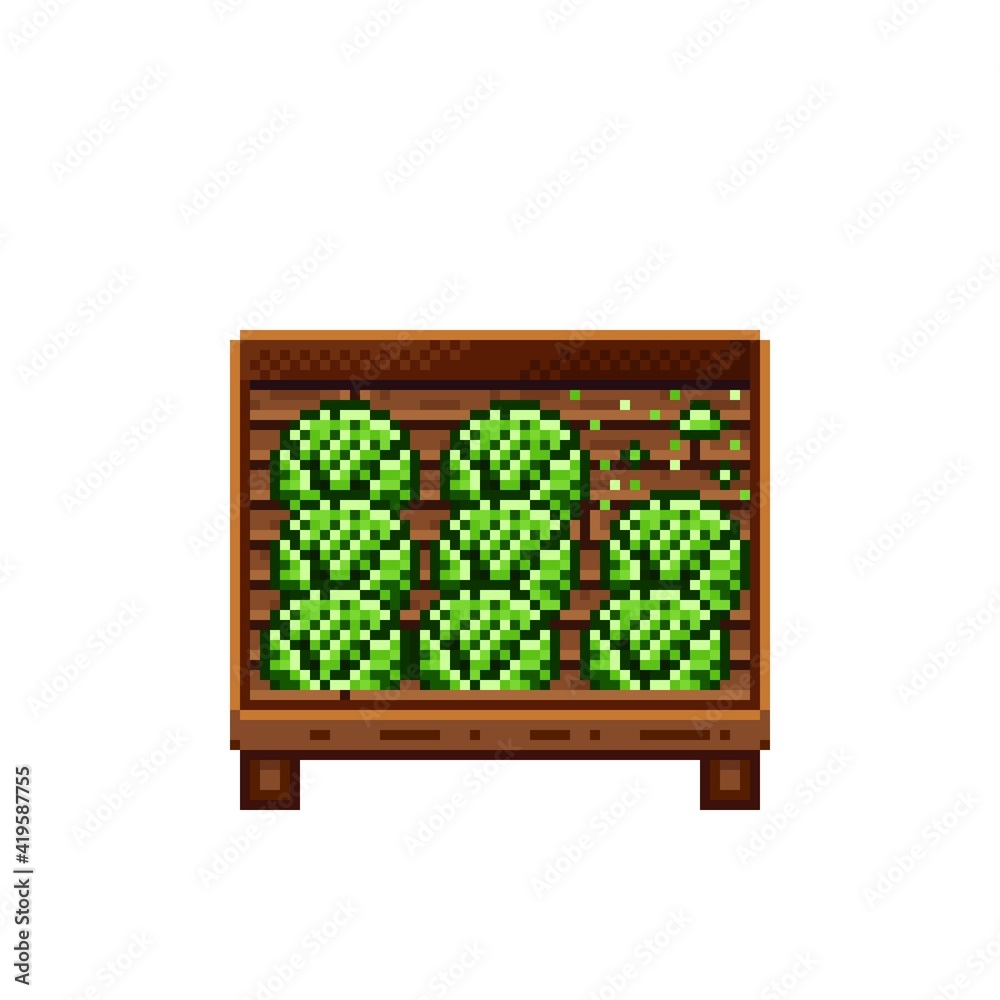 Vegetable shop pixel art. Cabbage in a wooden crate. Green headed ...