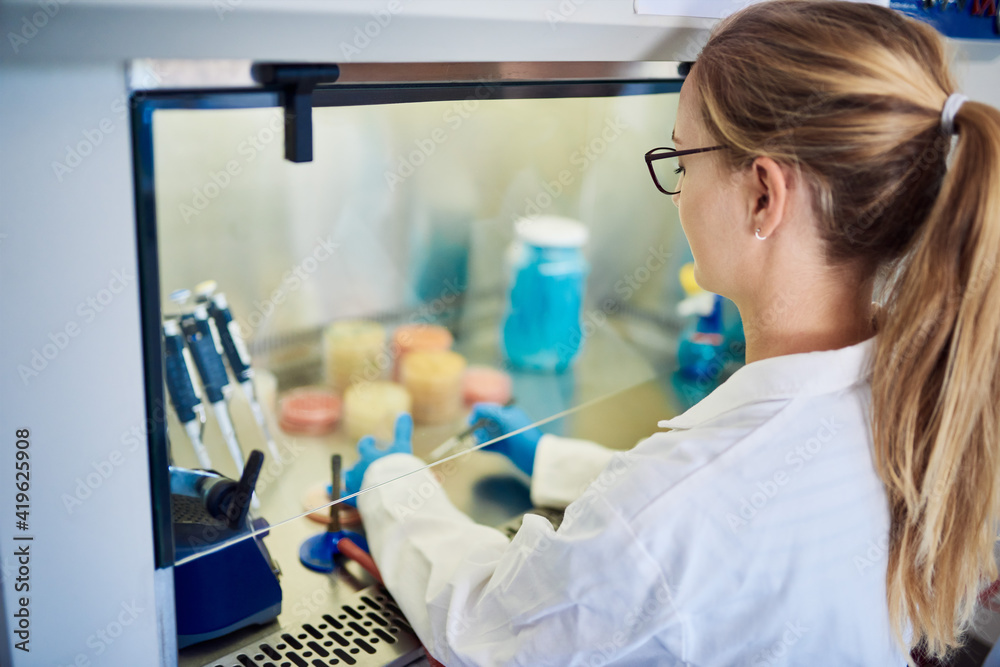 Female technician examing a sample inside of a biosafety cabinet Stock Photo | Adobe Stock