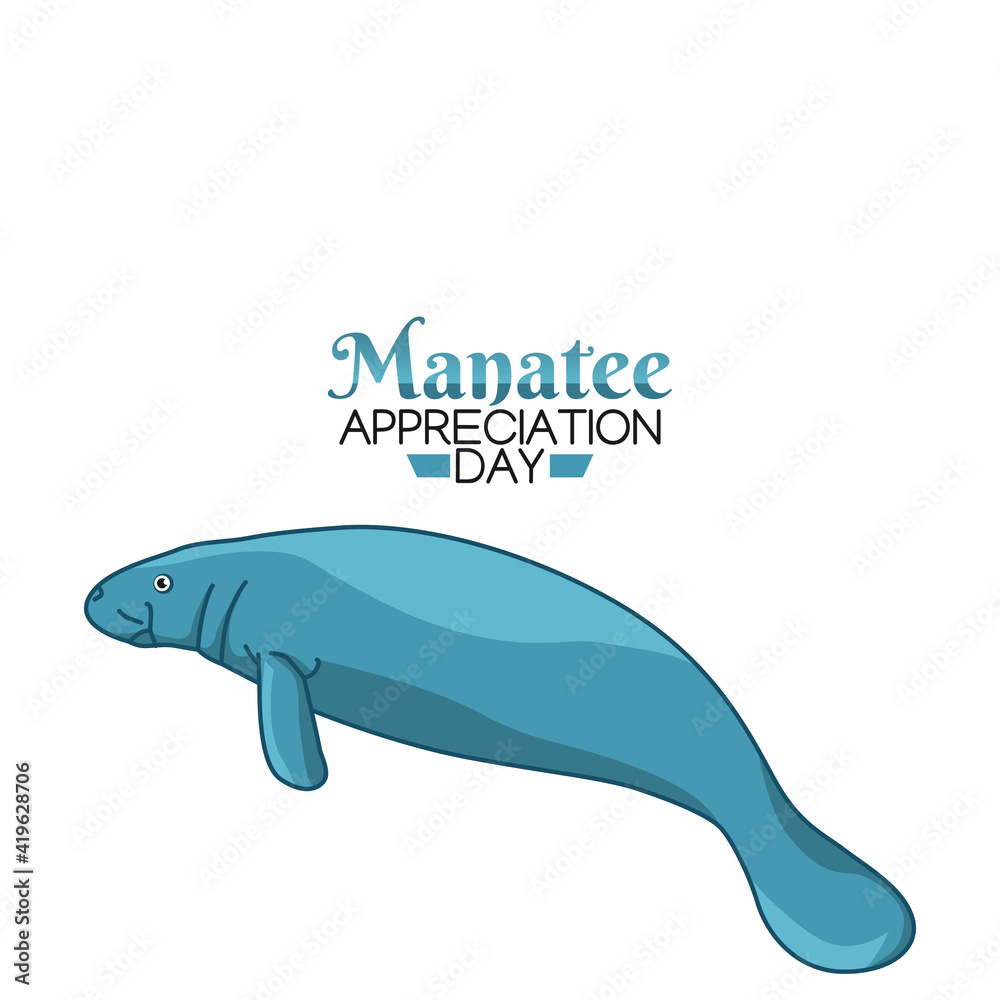 vector graphic of manatee appreciation day good for manatee ...