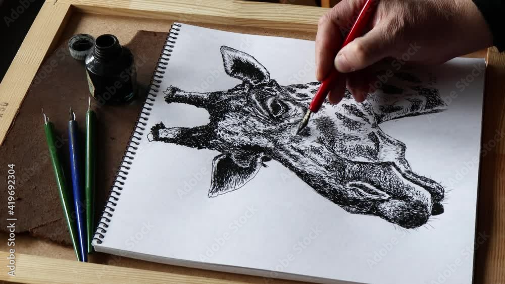 Sketch of a giraffe. The process of drawing a giraffe sketch with pen ...