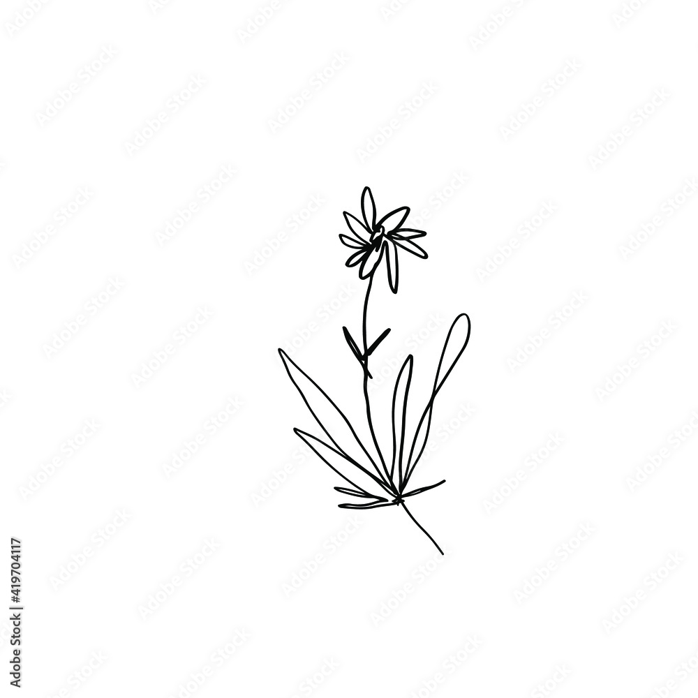 Flower line illustration. Black and white vector image. Stock Vector ...