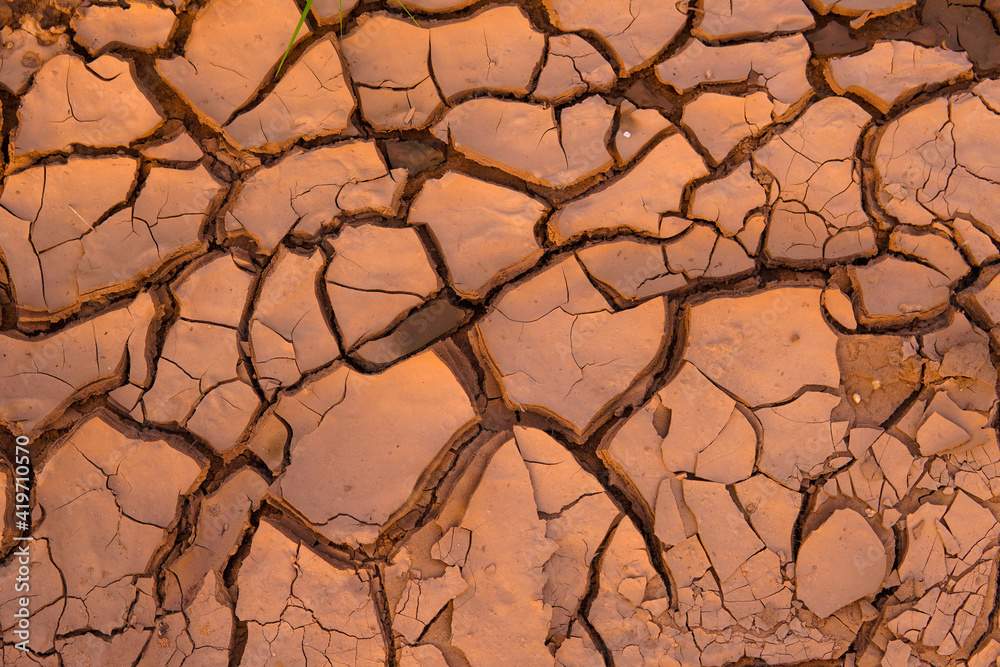 Terra seca do deserto no nordeste brasileiro Stock Photo | Adobe Stock