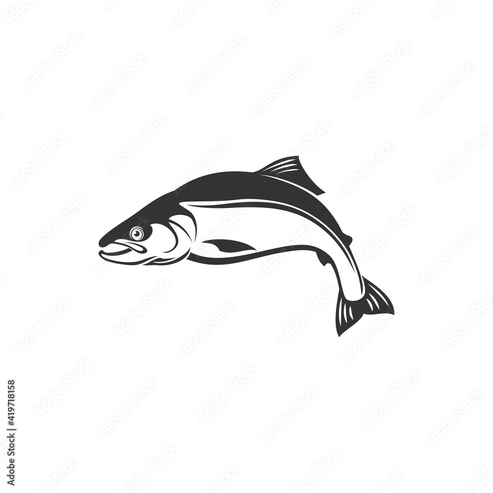 Pelagic fish, mackerel atlantic chub, family Scombridae isolated ...