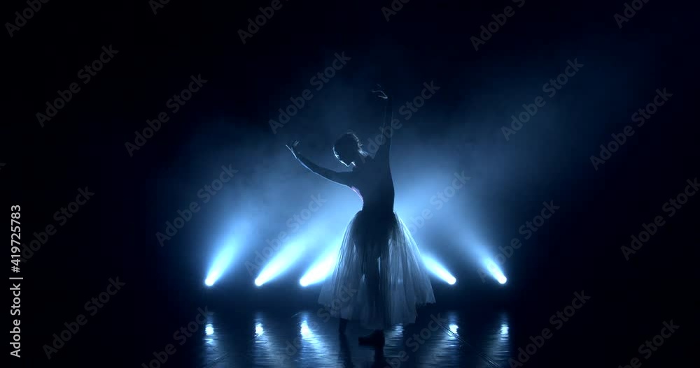 The camera captures a feminine ballerina who shows a sensual and ...