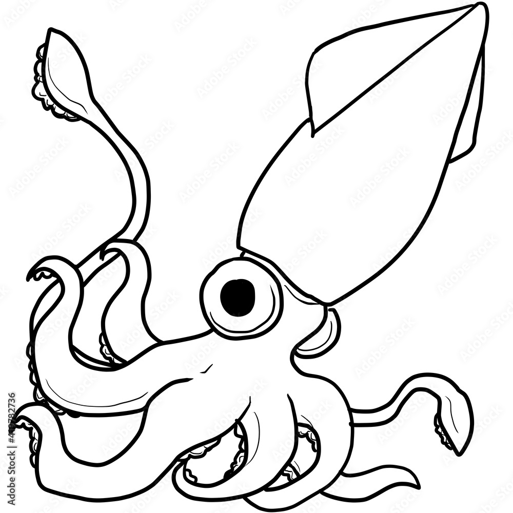 Simple line art illustration of the giant squid Stock Illustration ...