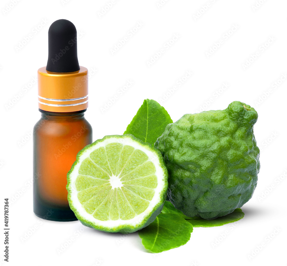 Bottle of bergamot essential oil extract and green bergamot or kaffir ...