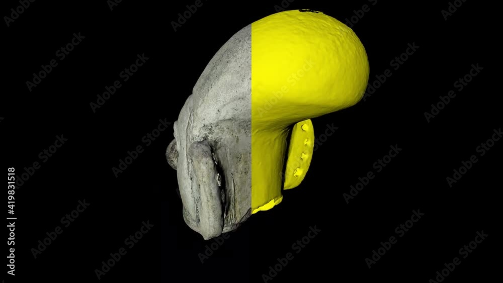 Valdivia statue 3D scan using photogrammetry technique for inventory ...