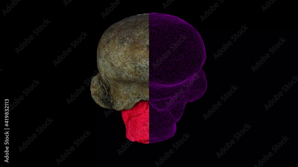 valdivia figurine 3d scan handling photogrametry tehnique worn for ...