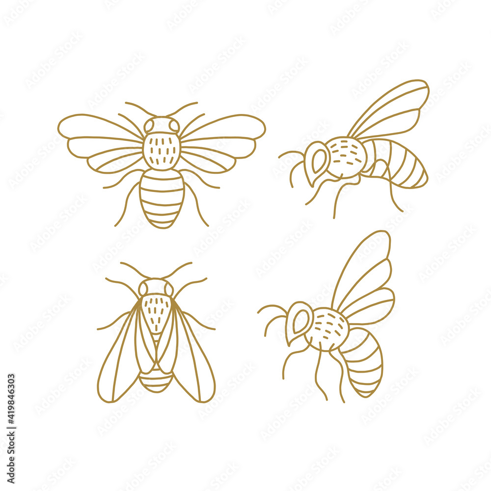 Honeybee line art clipart set. Linear collection of doodle bees. Vector ...