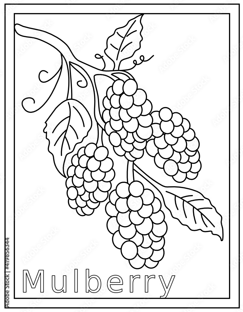 Mulberry Bush Coloring Page Coloring Pages