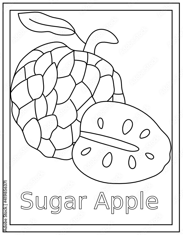Sugar apple coloring page design in hand drawn vector Stock Vector ...