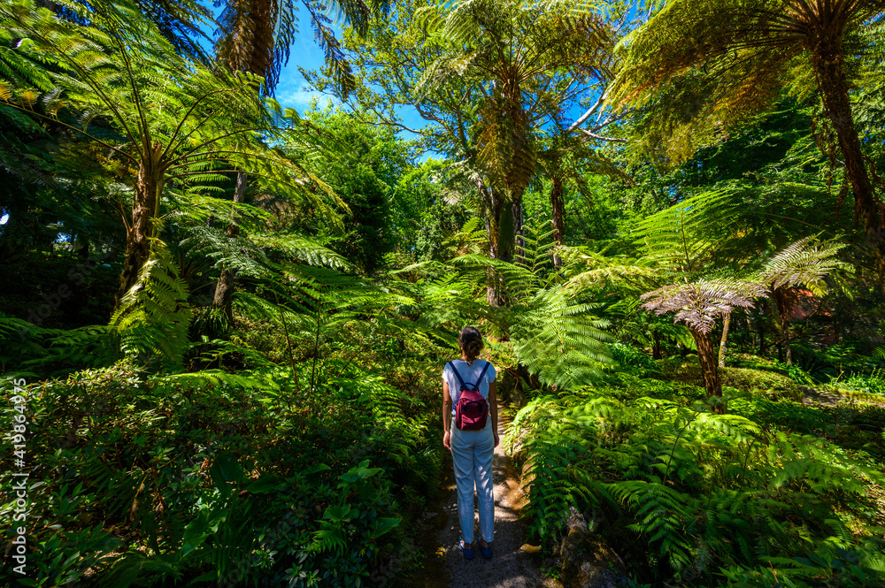 Monte Palace - Tropical Garden with Waterfalls, Lakes and traditional ...