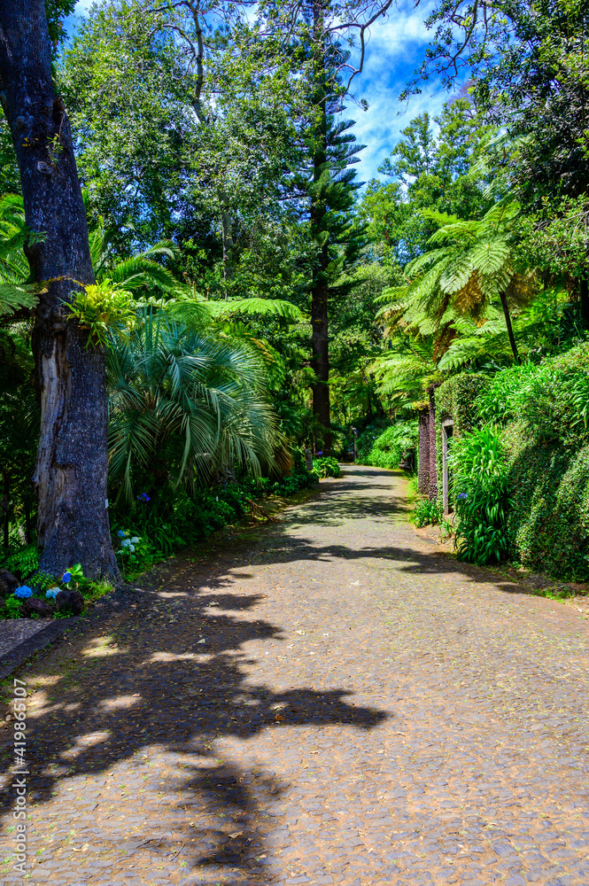 Monte Palace - Tropical Garden with Waterfalls, Lakes and traditional ...