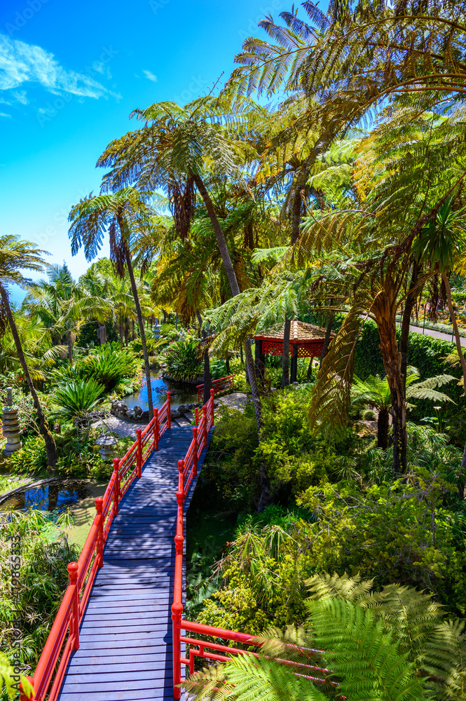 Monte Palace - Tropical Garden with Waterfalls, Lakes and traditional ...