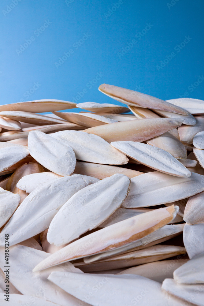 The internal shell or bone of dead cuttlefish. Cuttlefish bone on ...