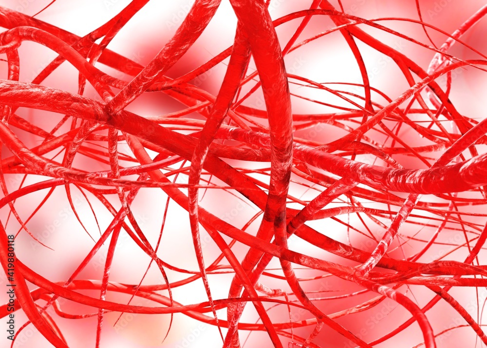 Blood vessels, circulatory system, veins and arteries, 3D rendering ...