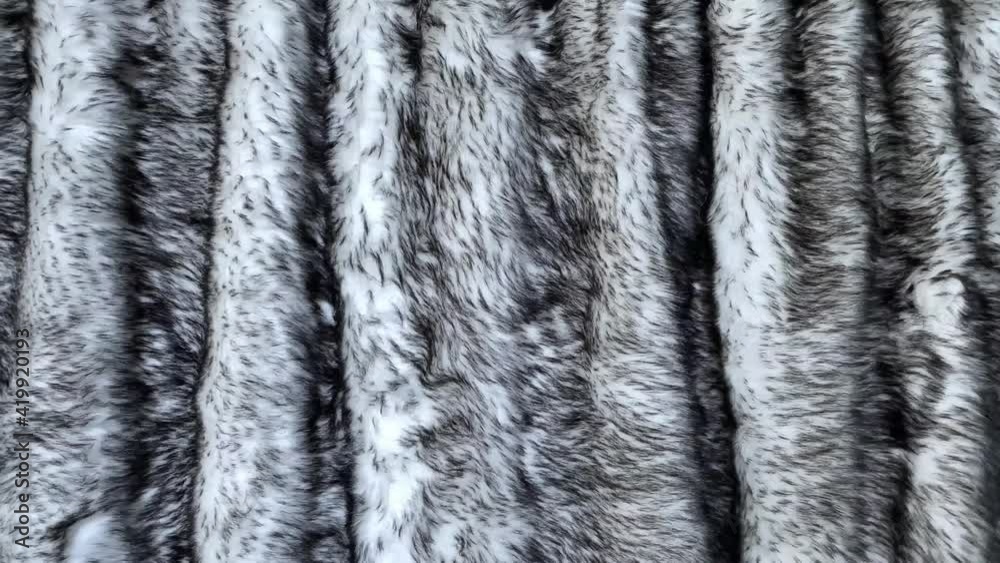 Gray wolf artificial fur background texture for design, black and white ...