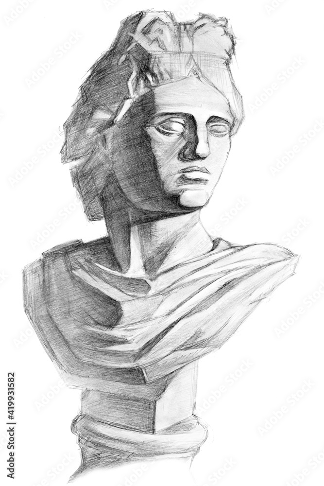Drawing of the sculpture of the bust of Apollo Belvedere (Apollo ...