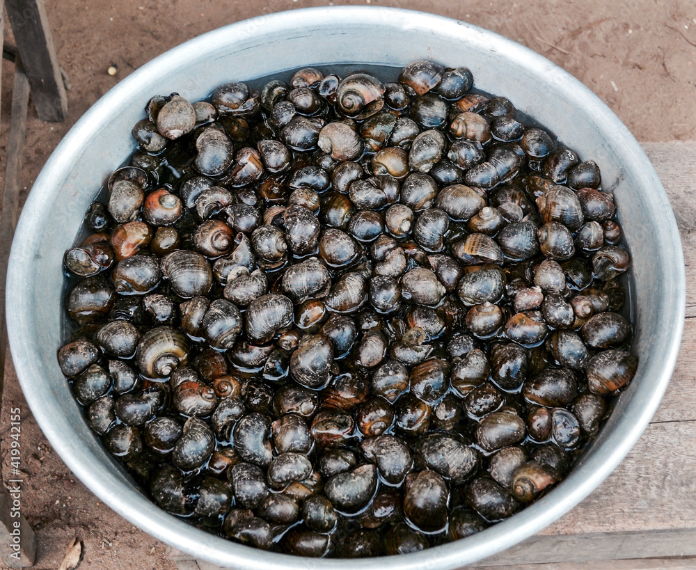River snail and the chilli, Khmer food, Traditional food in Cambodia ...