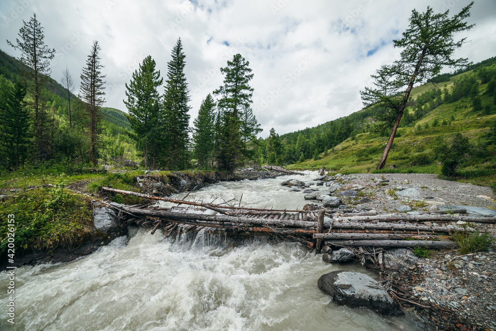 Powerful rapids in fast turbulent river with broken bridge in water ...