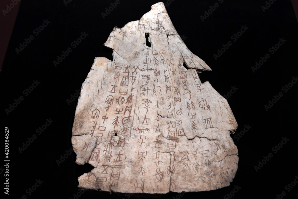 oracle script in turtle shell Stock Photo | Adobe Stock