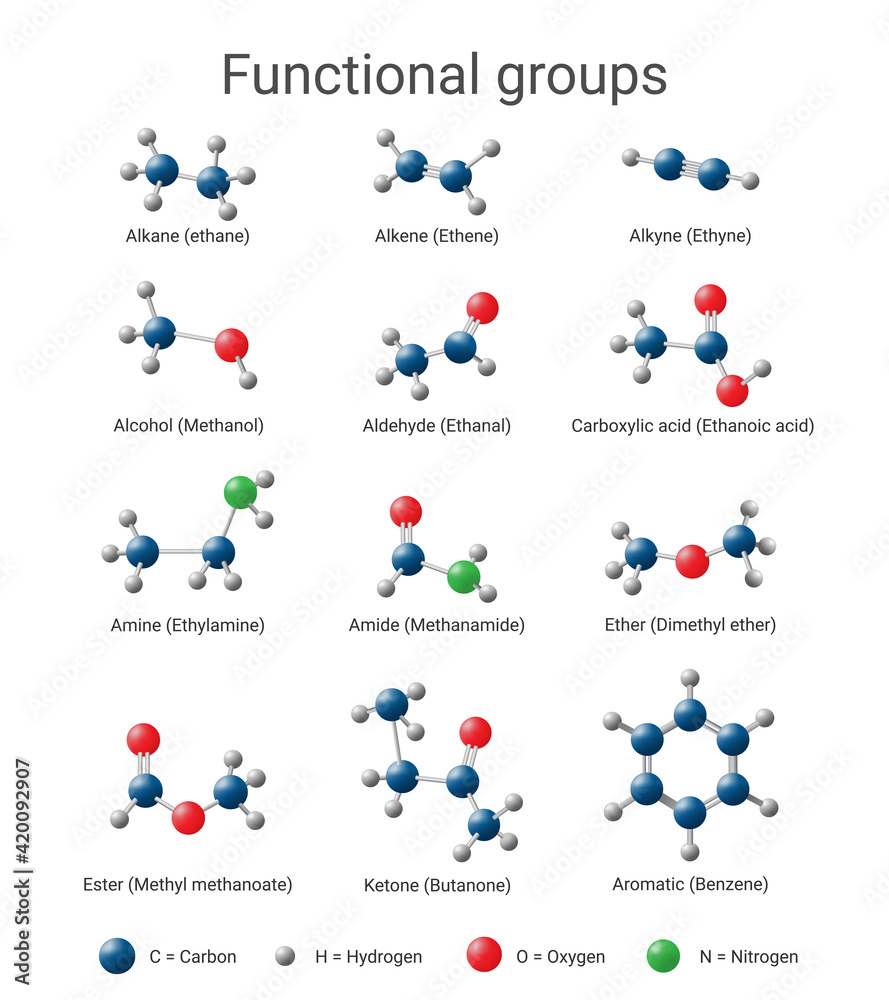 Basic Functional Groups