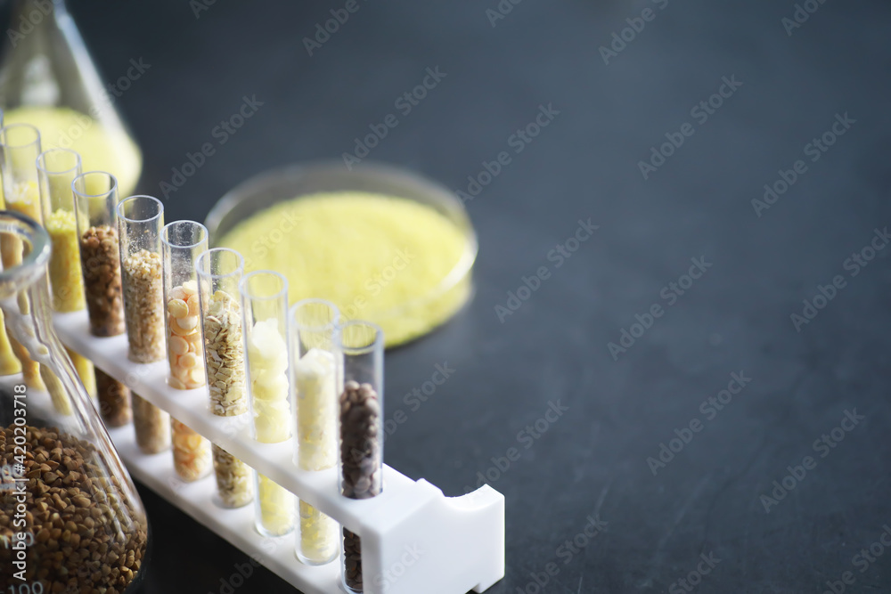 Research Analyzing Agricultural Grains And seeds In The Laboratory ...