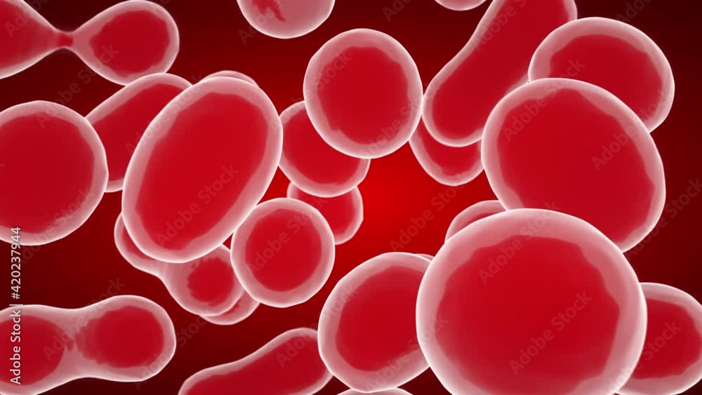 Cellular Division Under Microscope. Mitosis, The Process Of Cell ...