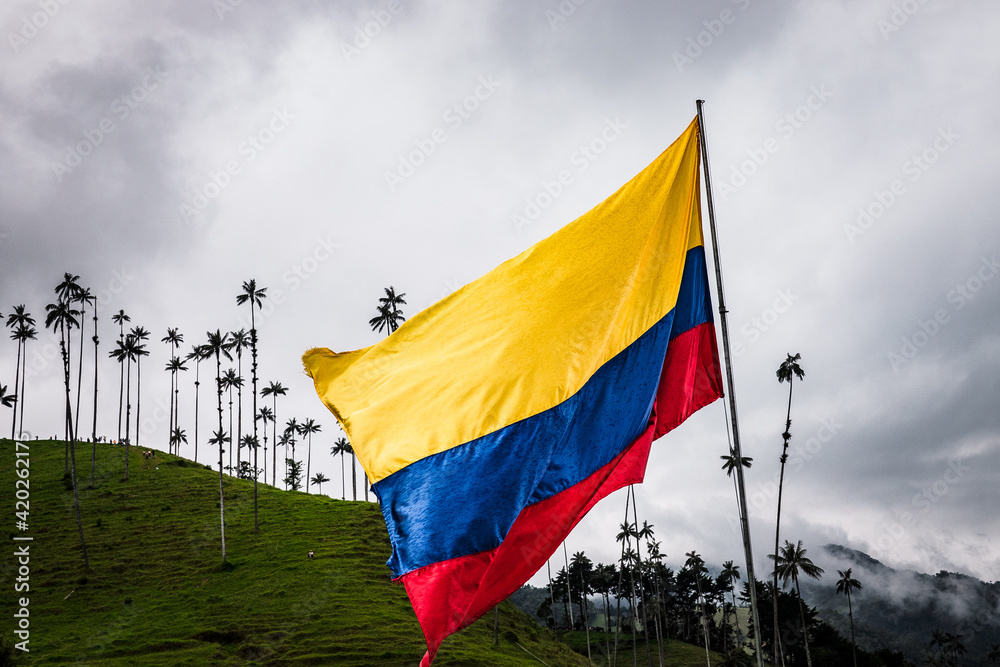 Panoramica del Valle del Cocora en Quindio_Colombia, montañas con arbol ...