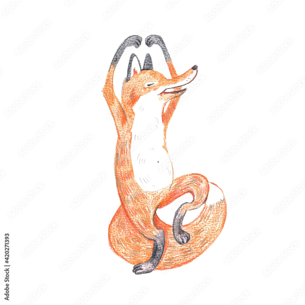 Fox tree pose yoga hand drawing with crayons isolated on white ...