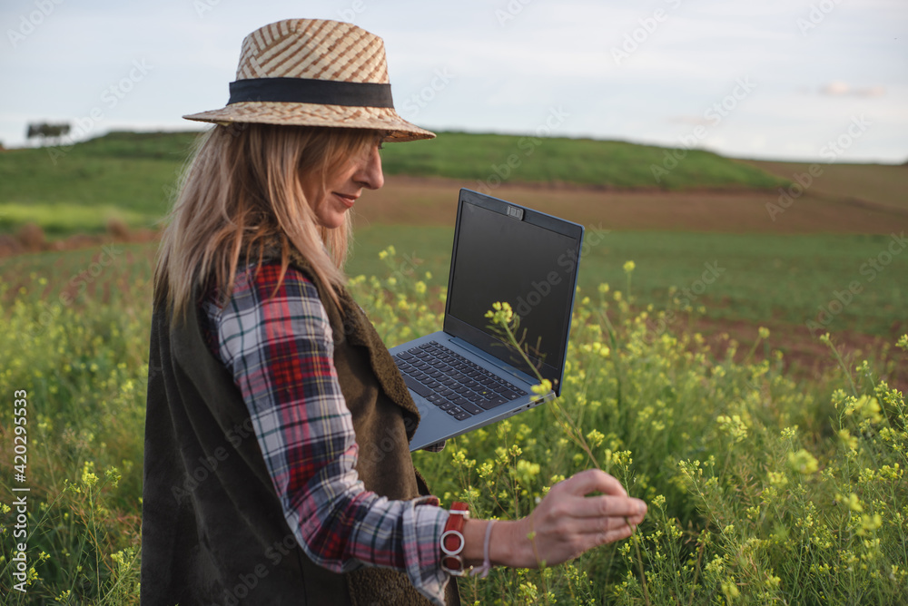 Female field engineer using computer in agricultural plantation ...