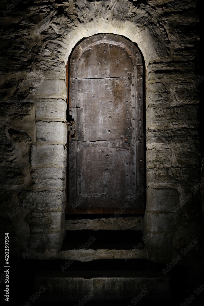 Medieval door close up. Ancient castle metal door fragment with stone ...
