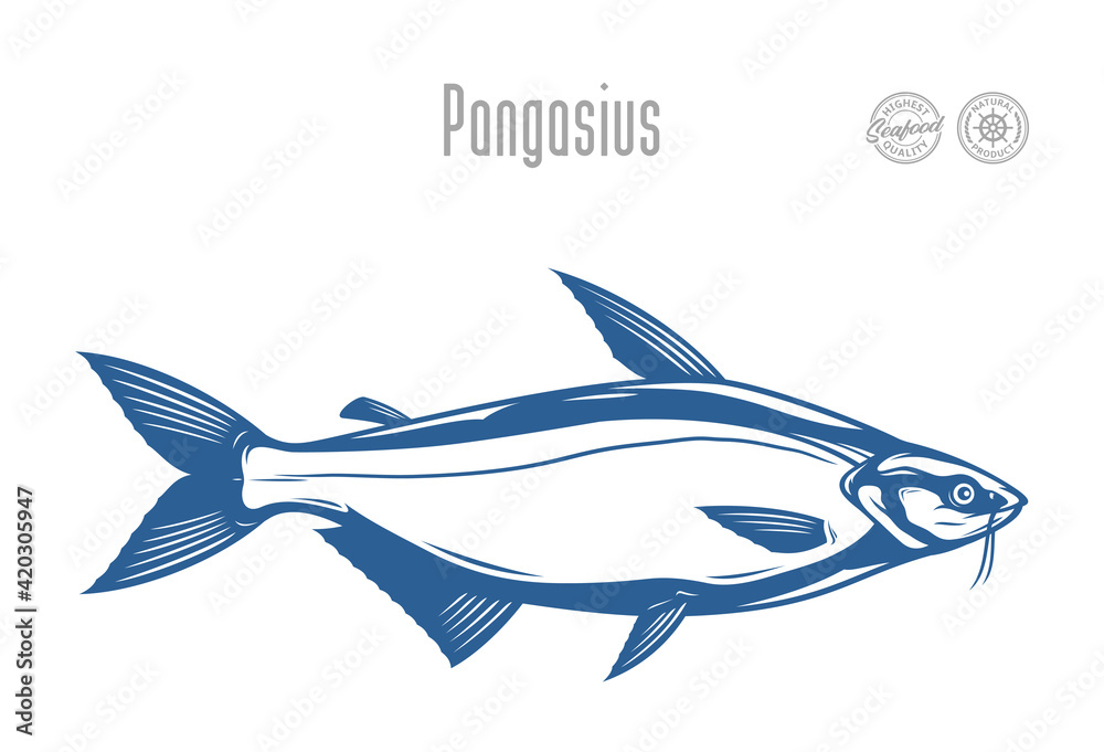 Vector pangasius fish illustration isolated on a white background Stock ...