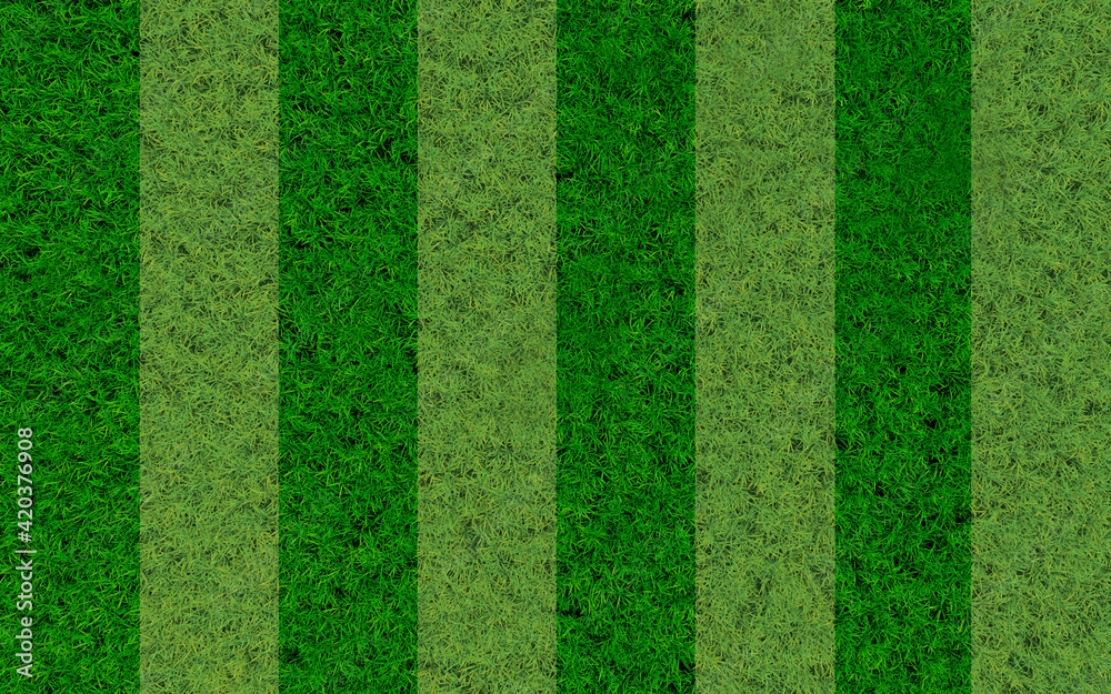 Alternate the grass colors of the football field.. Top view Fresh green ...